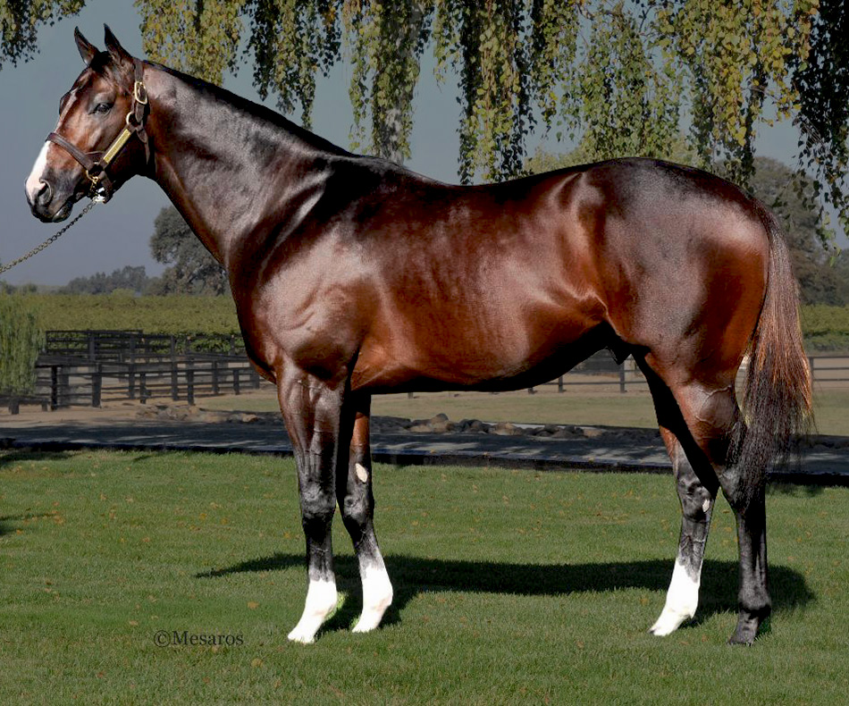 Straight Fire - Straight Fire