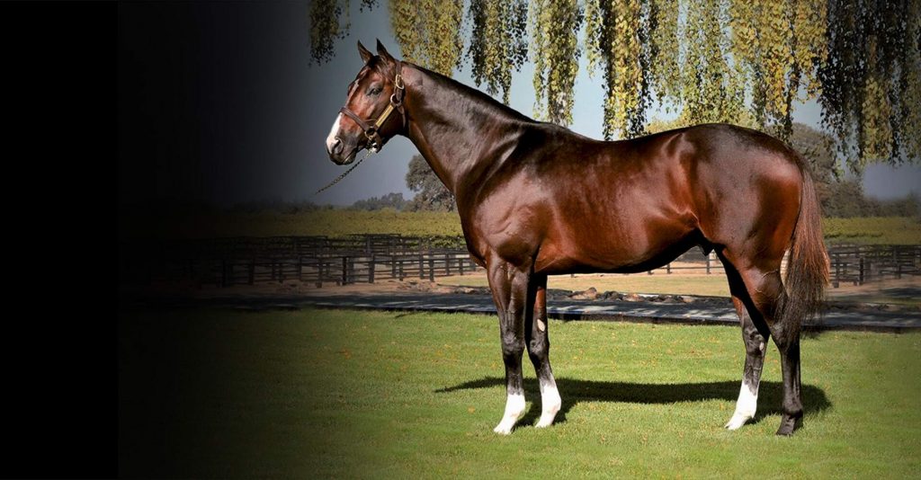 Straight Fire - Straight Fire